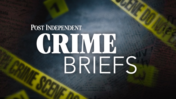 ‘Cheating boyfriend story’ leads to 21.9 lbs of meth, Parachute arrest ...